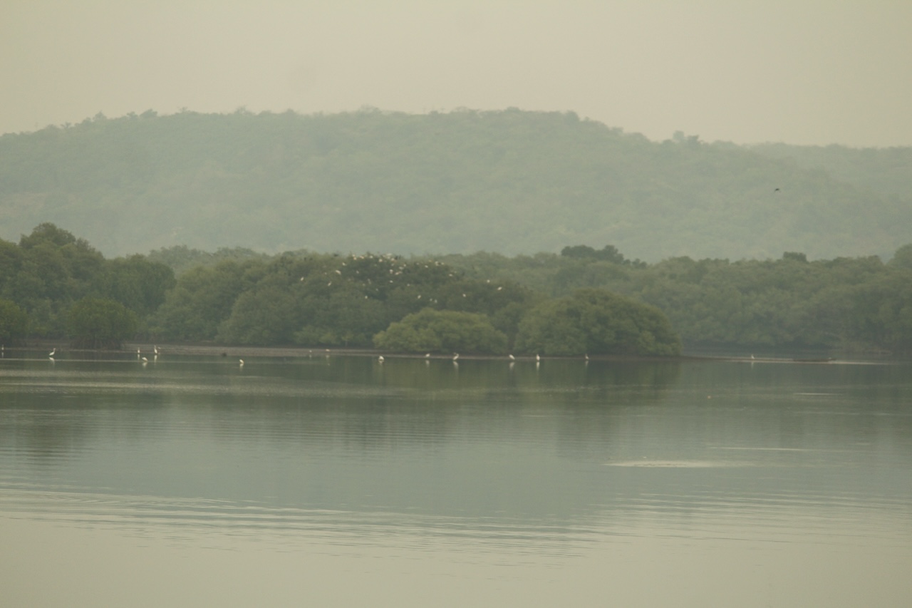About KonkanSparsh | Kayaking & Mangrove Safari Experts In Malvan